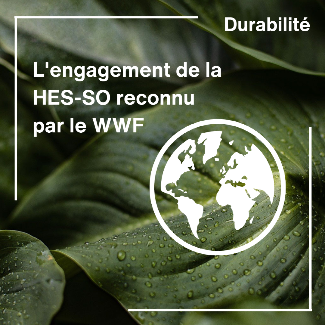 La HES-SO récompensée par le WWF pour son engagement | HES-SO Genève