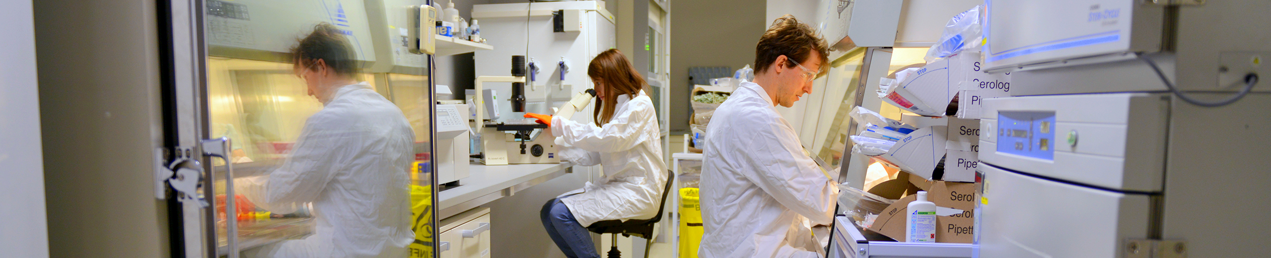 À propos de la Ra&D | HEPIA